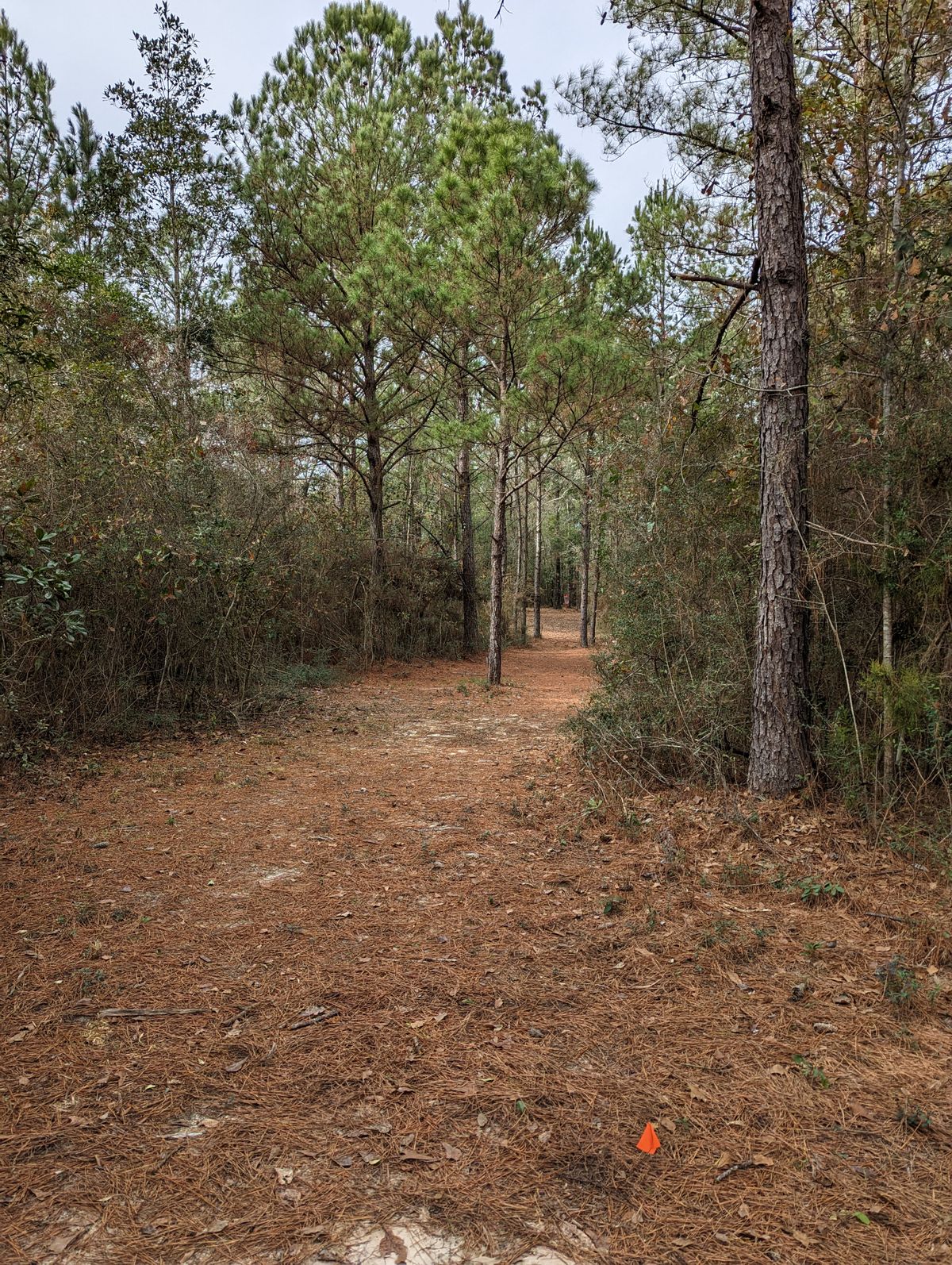 Asgard Acres DGC - DeFuniak Springs, Florida | UDisc Disc Golf Course ...