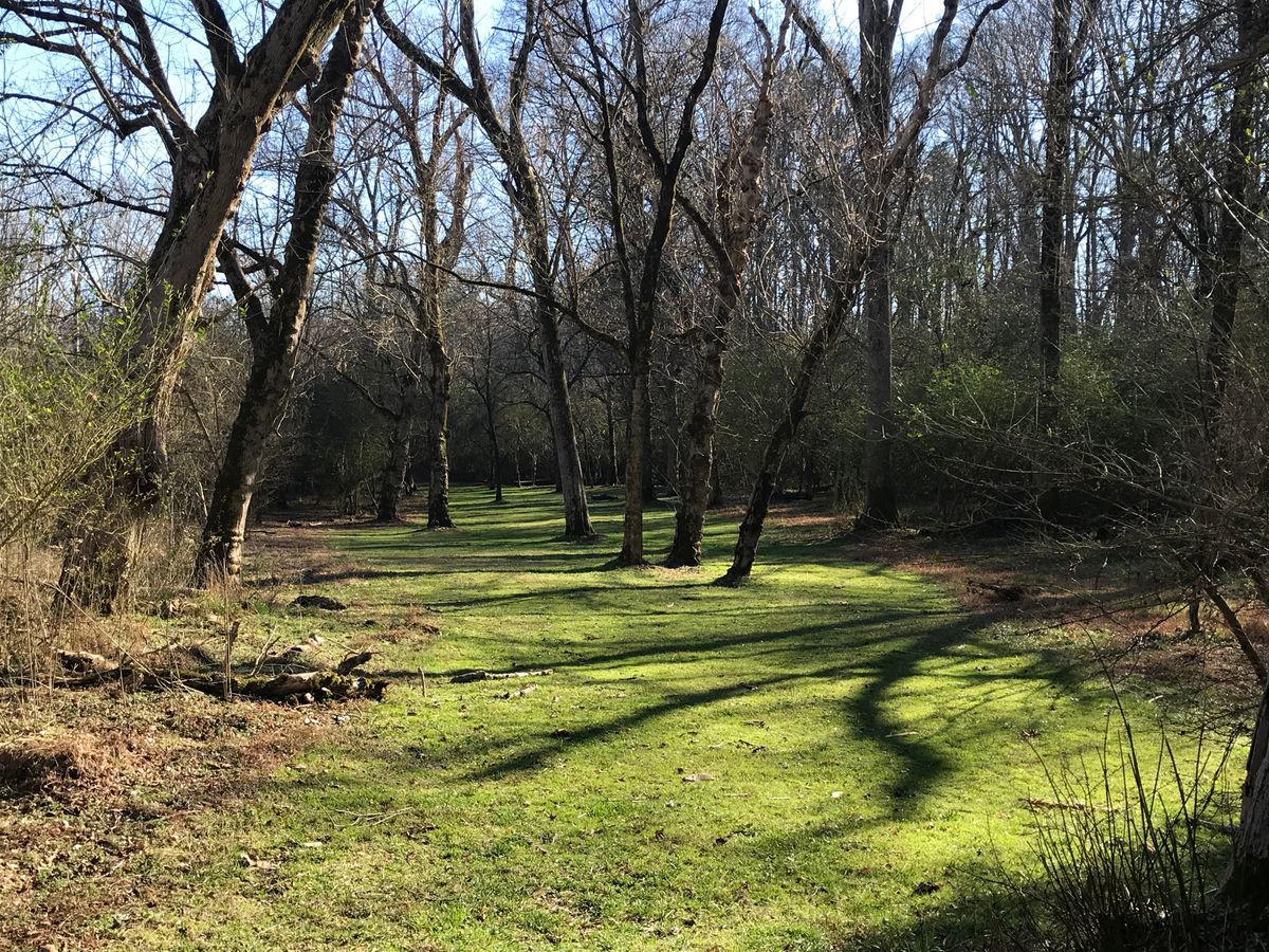 Pipeline - Spartanburg, SC | UDisc Disc Golf Course Directory