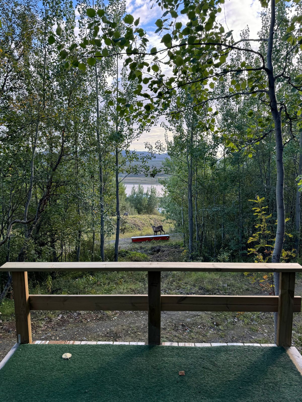 Sandnes Disc Golf Course - Bjørnevatn, Norway | UDisc Disc Golf Course ...