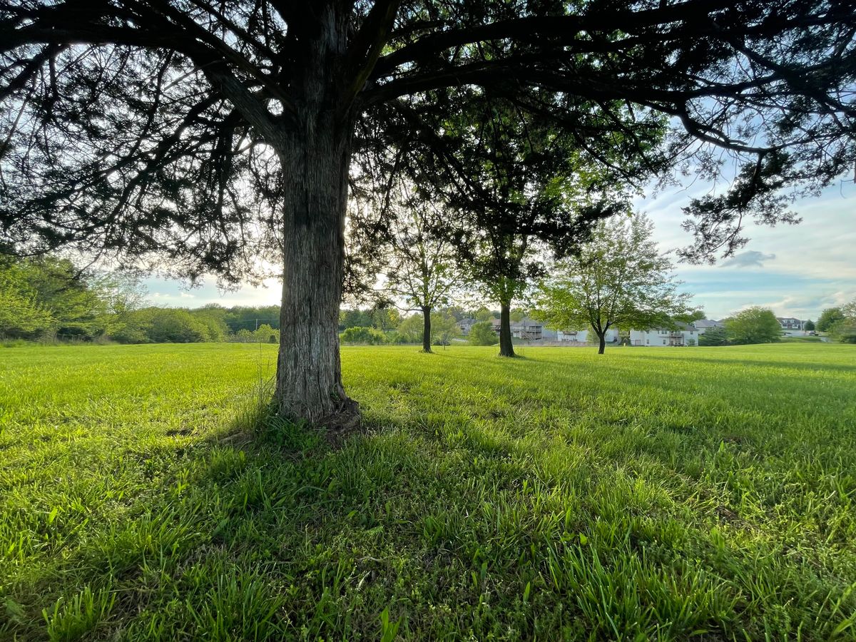 True Life Church - Springfield, Missouri | UDisc Disc Golf Course Directory