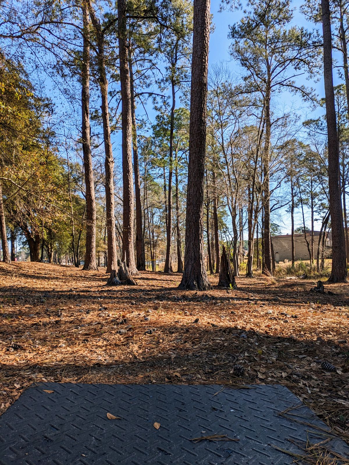 Bobcat Run @EGSC - Swainsboro, Georgia | UDisc Disc Golf Course Directory