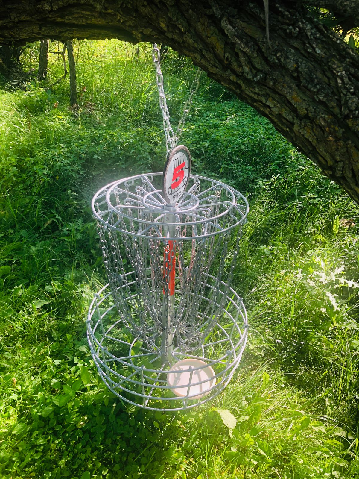 Buffalo Ridge Resort - Gary, SD | UDisc Disc Golf Course Directory | UDisc