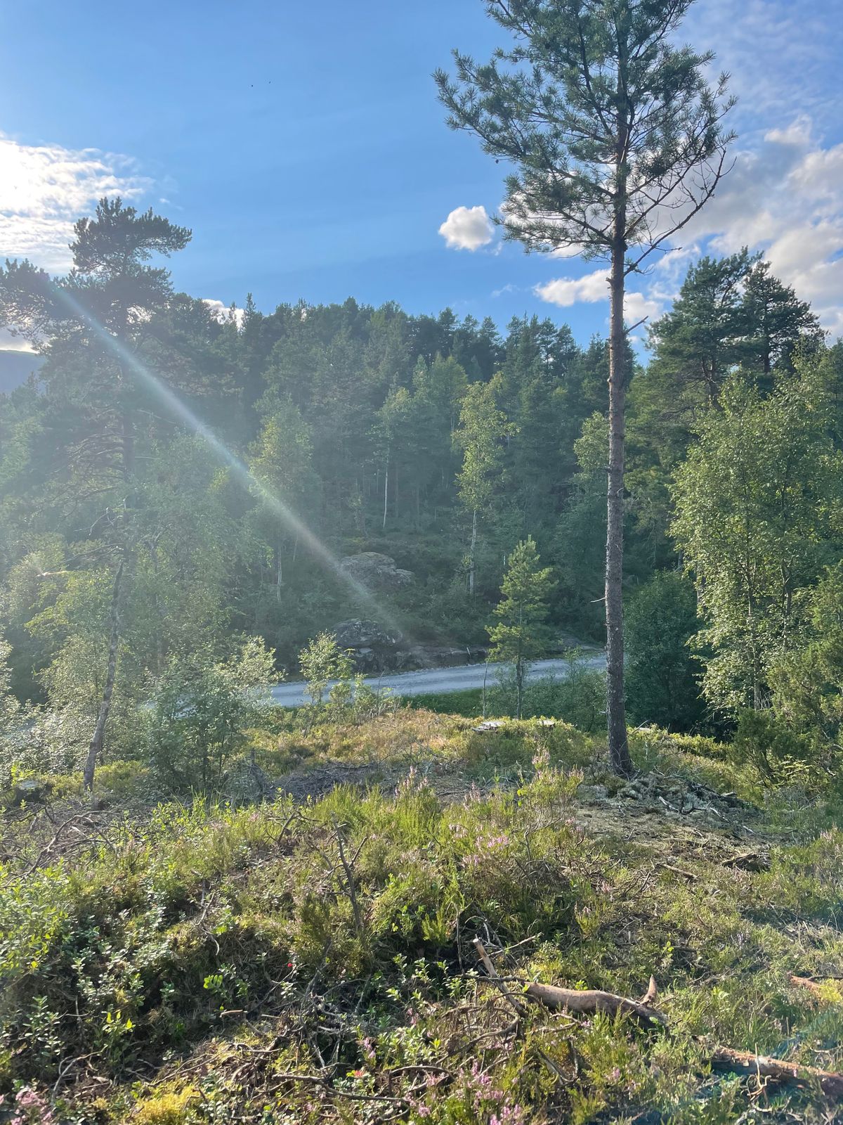 Skare Frisbeegolf - Skare, Norway | UDisc Disc Golf Course Directory