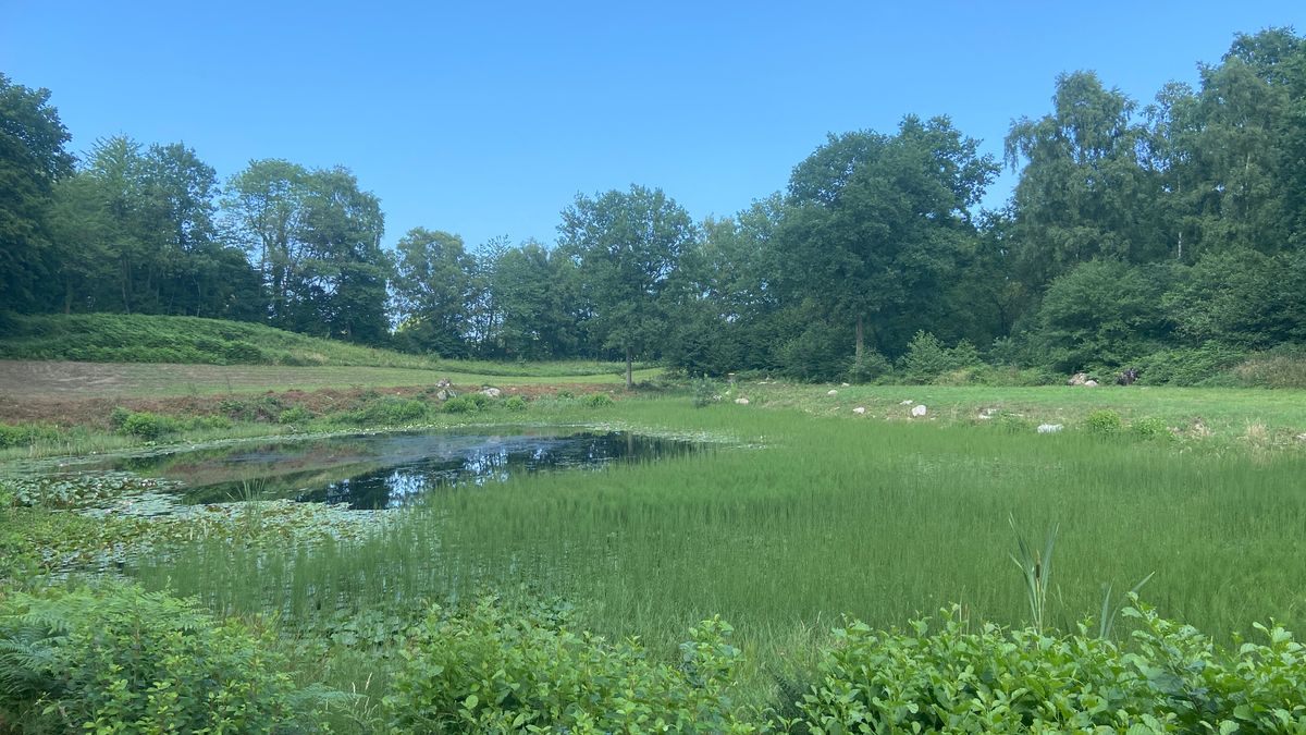 Rønne Disc Golf - Your Guide to Disc Golf in Rønne, Denmark | UDisc