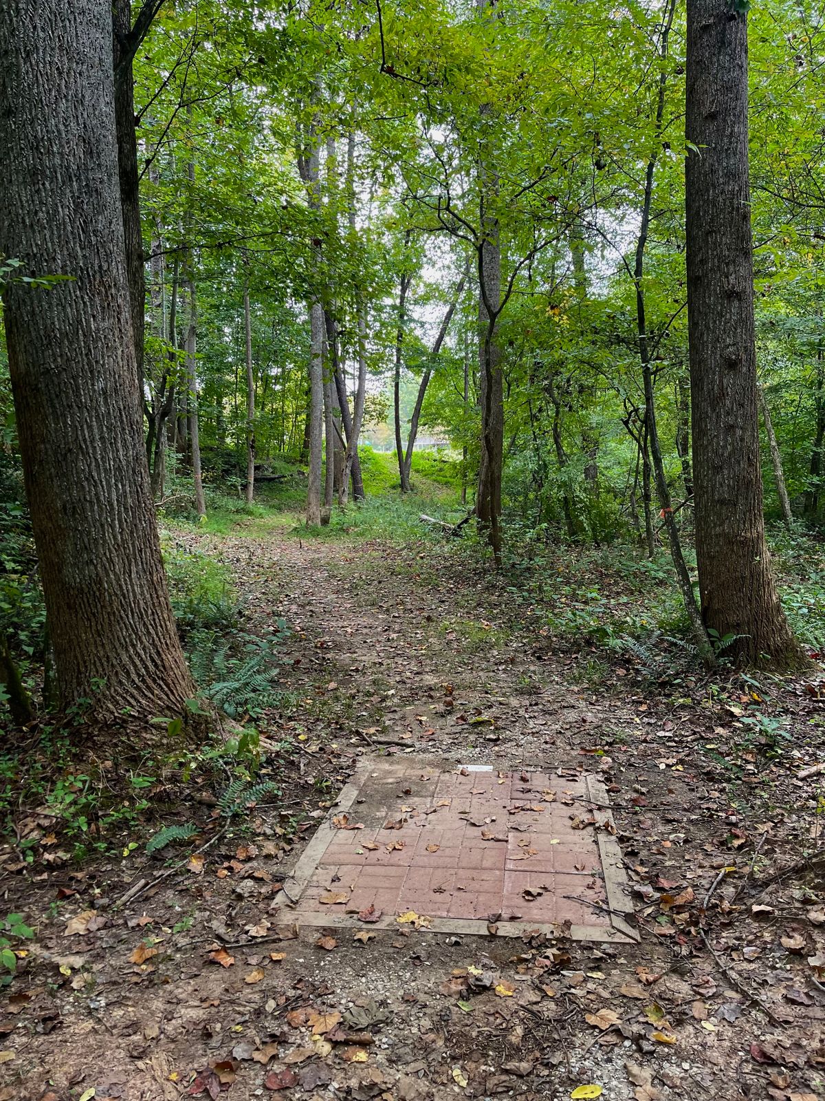 Hidden Rock Park - Maidens, VA | UDisc Disc Golf Course Directory