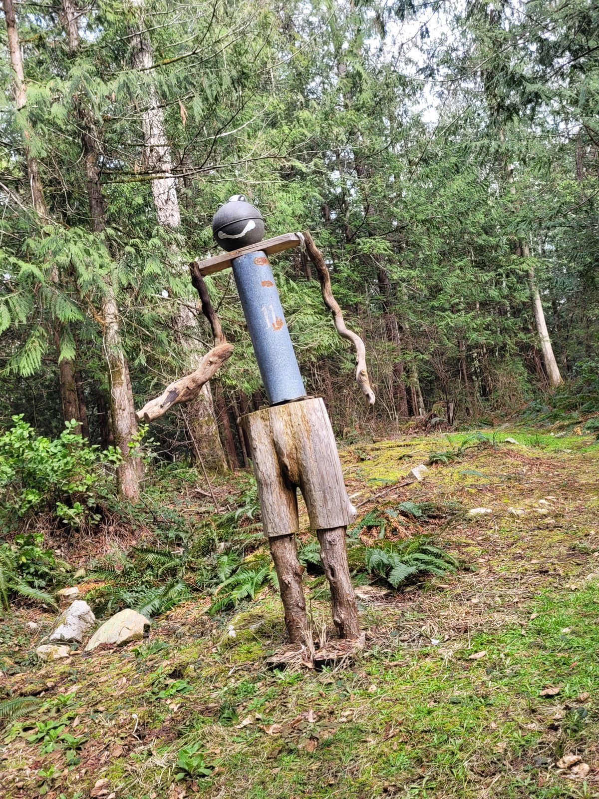 Andy's Acres - Powell River, BC, Canada | UDisc Disc Golf Course Directory