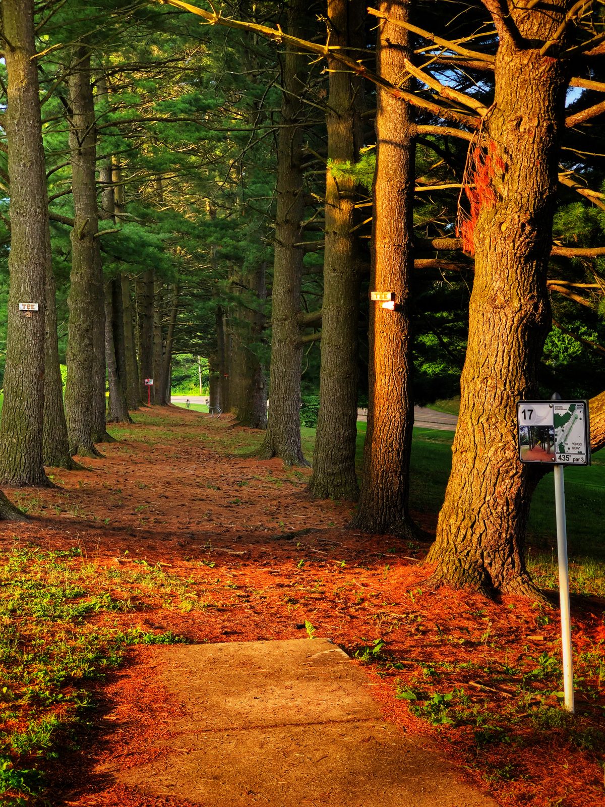 Ohio Disc Golf - Your Guide to Disc Golf in Ohio, United States | UDisc