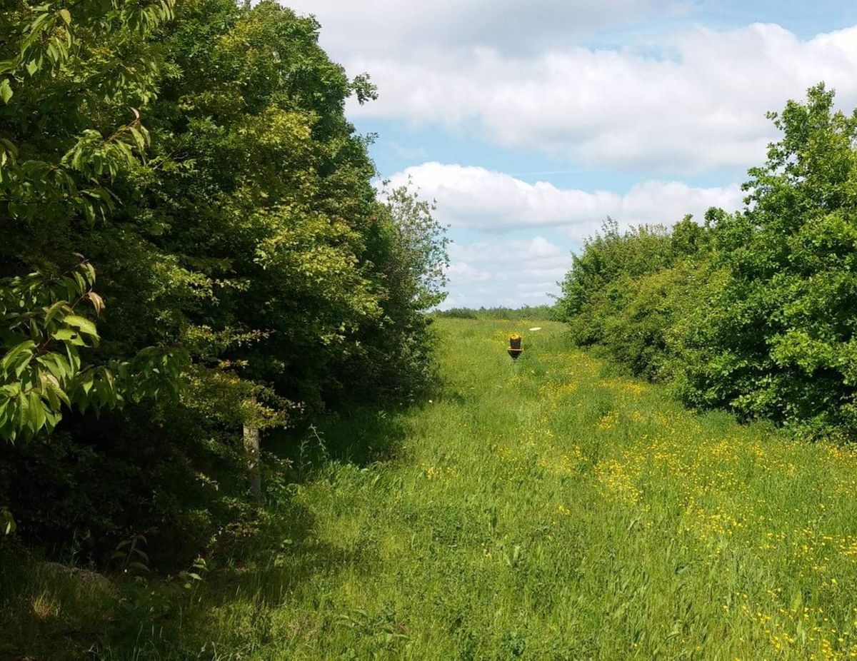 Cotgrave Country Park - Nottingham, United Kingdom | UDisc Disc Golf ...