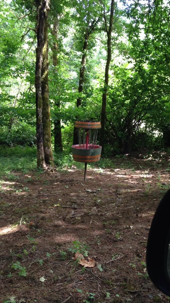 Alpine's 9th Hole - Monroe, OR | UDisc Disc Golf Course Directory