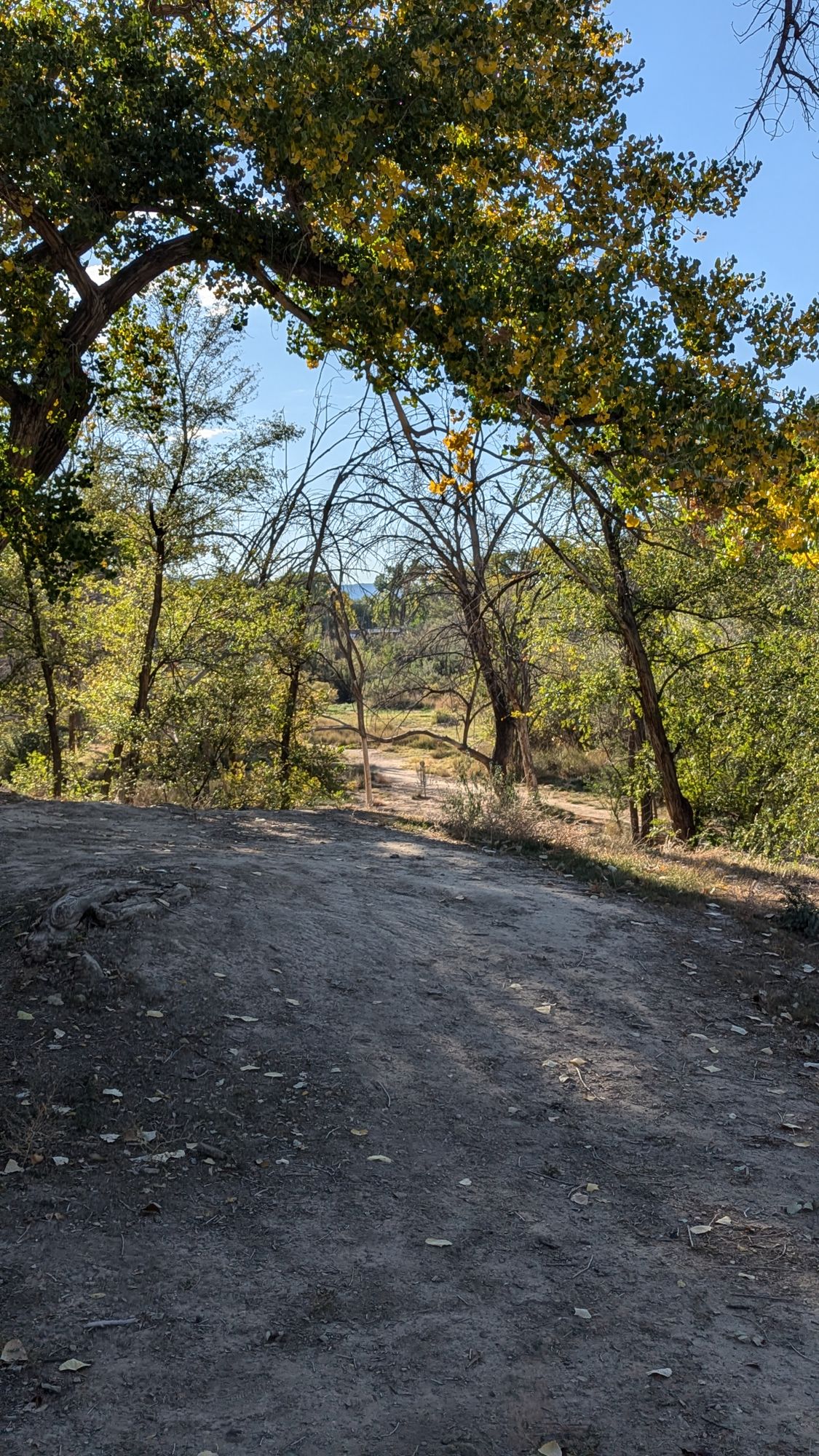 Little Salt Wash Disc Golf Park - Fruita, Colorado | UDisc Disc Golf ...