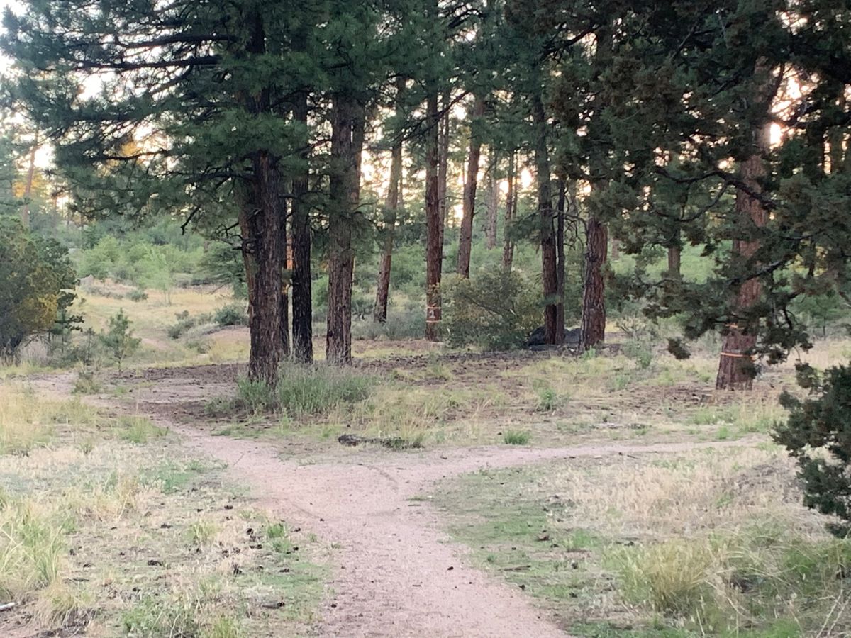 Skyline - Prescott, AZ | UDisc Disc Golf Course Directory