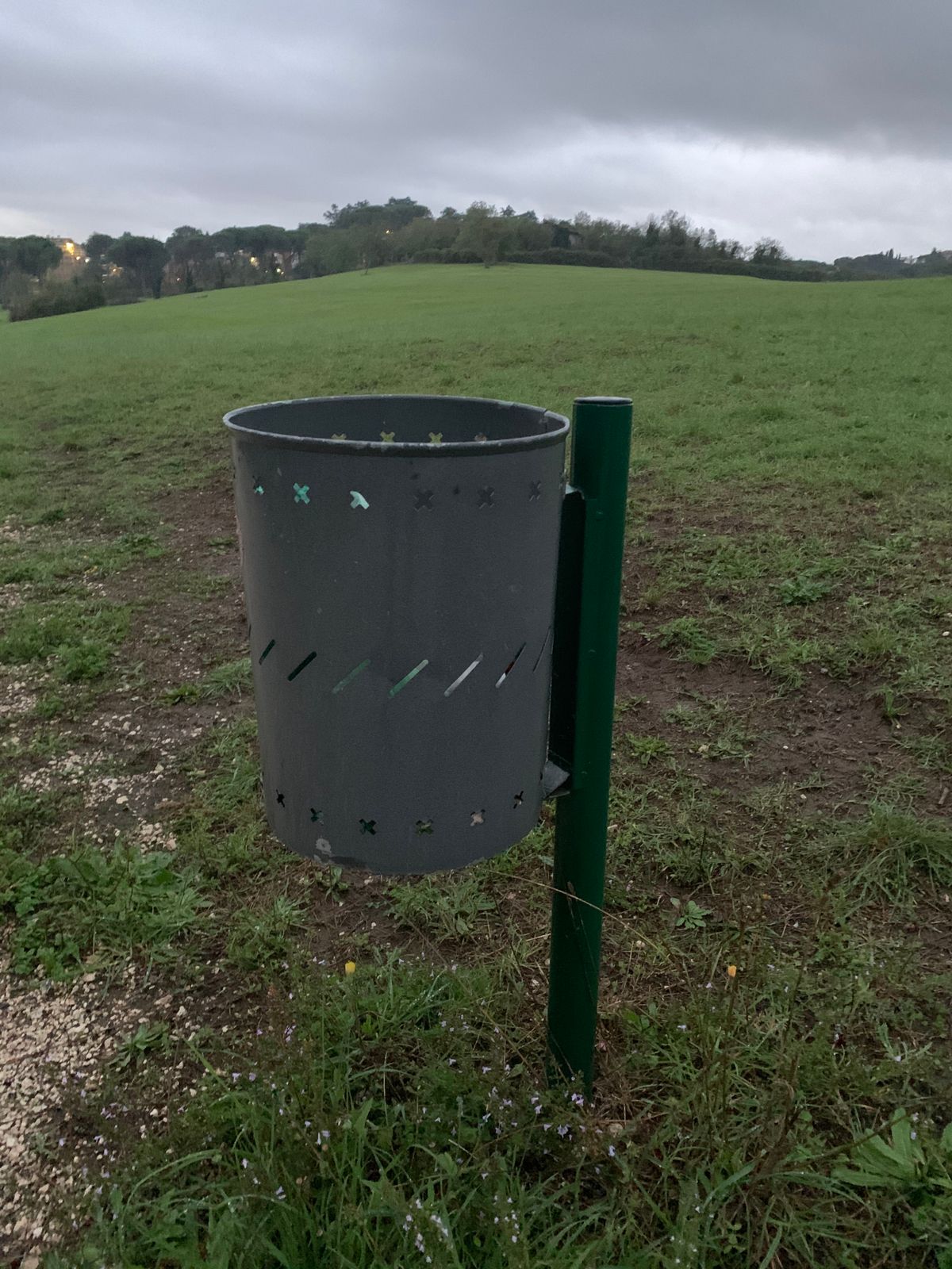 Fiumicino-Isola Sacra Disc Golf - Your Guide to Disc Golf in Fiumicino ...