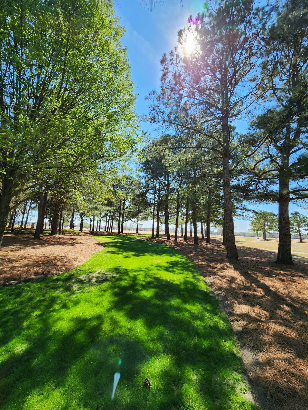 Greenville Disc Golf - Your Guide to Disc Golf in Greenville, North ...