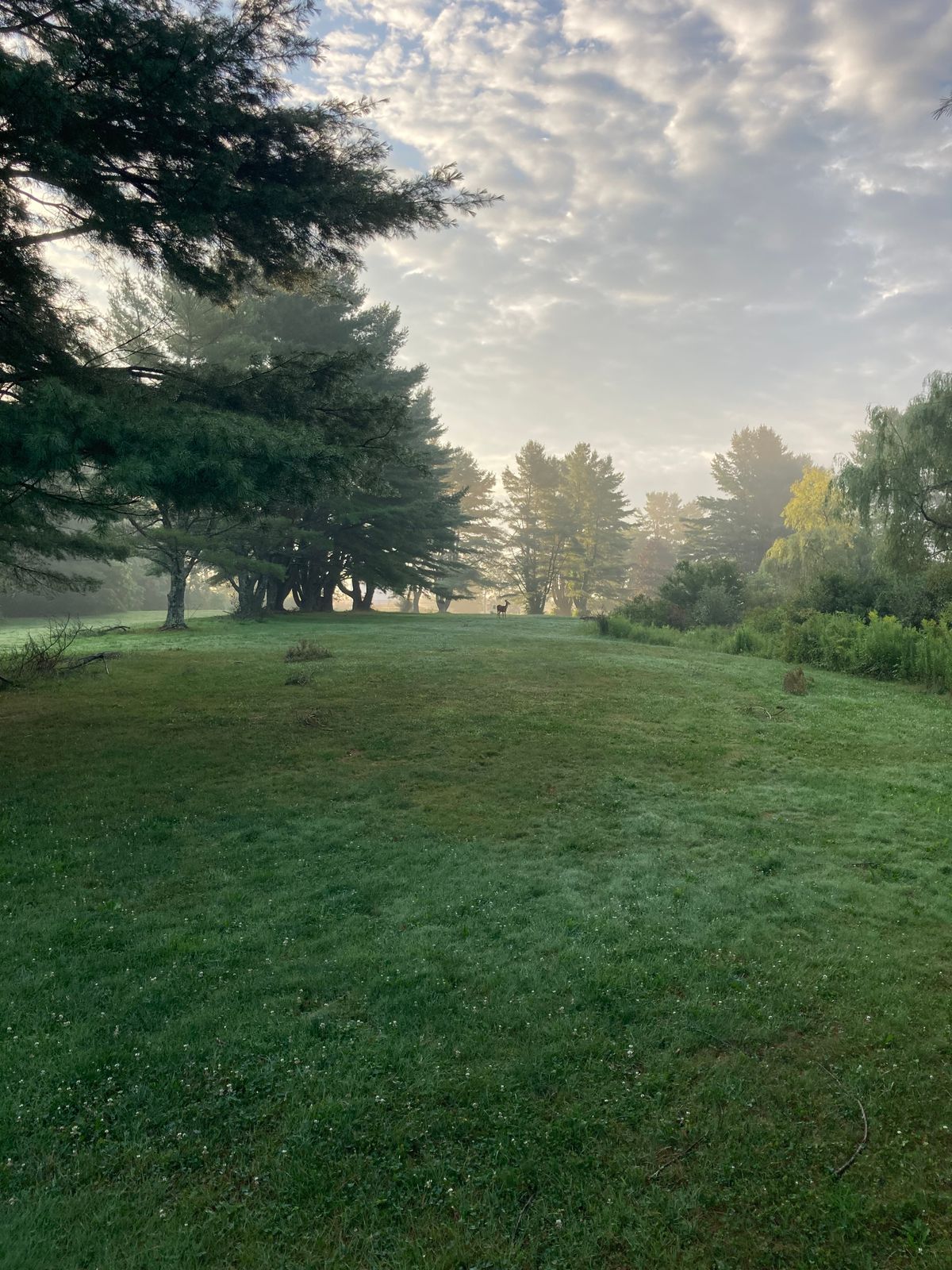 Sunset Ridge - Westbrook, Maine | UDisc Disc Golf Course Directory