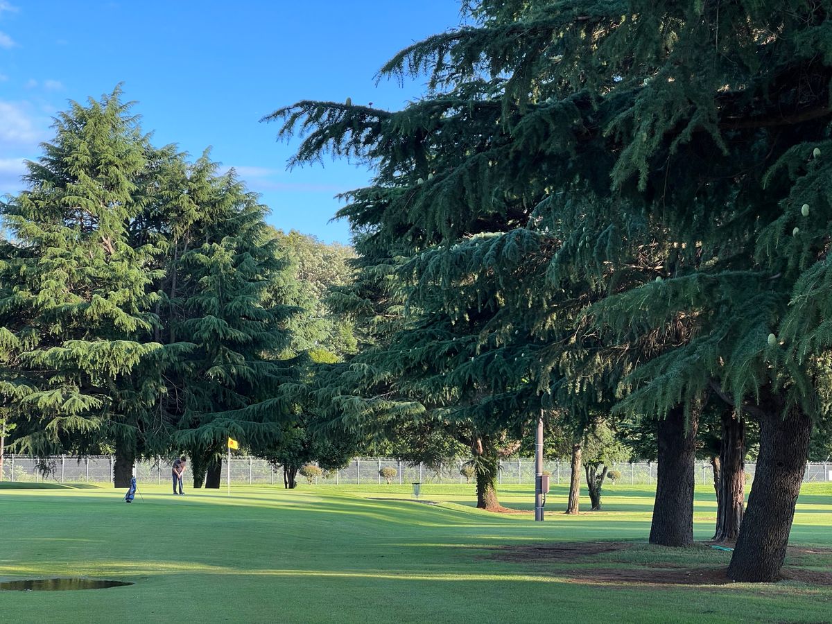 Fussa Disc Golf - Your Guide to Disc Golf in Fussa, Japan | UDisc