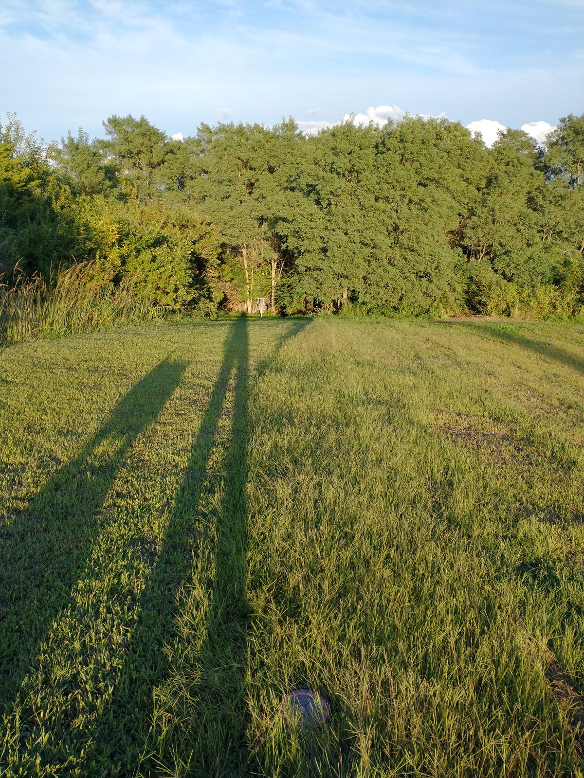 Cedar County Park - Creston, IA | UDisc Disc Golf Course Directory