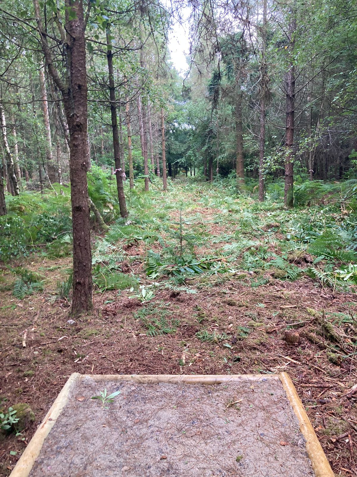 Paignton Disc Golf - Your Guide to Disc Golf in Paignton, United ...