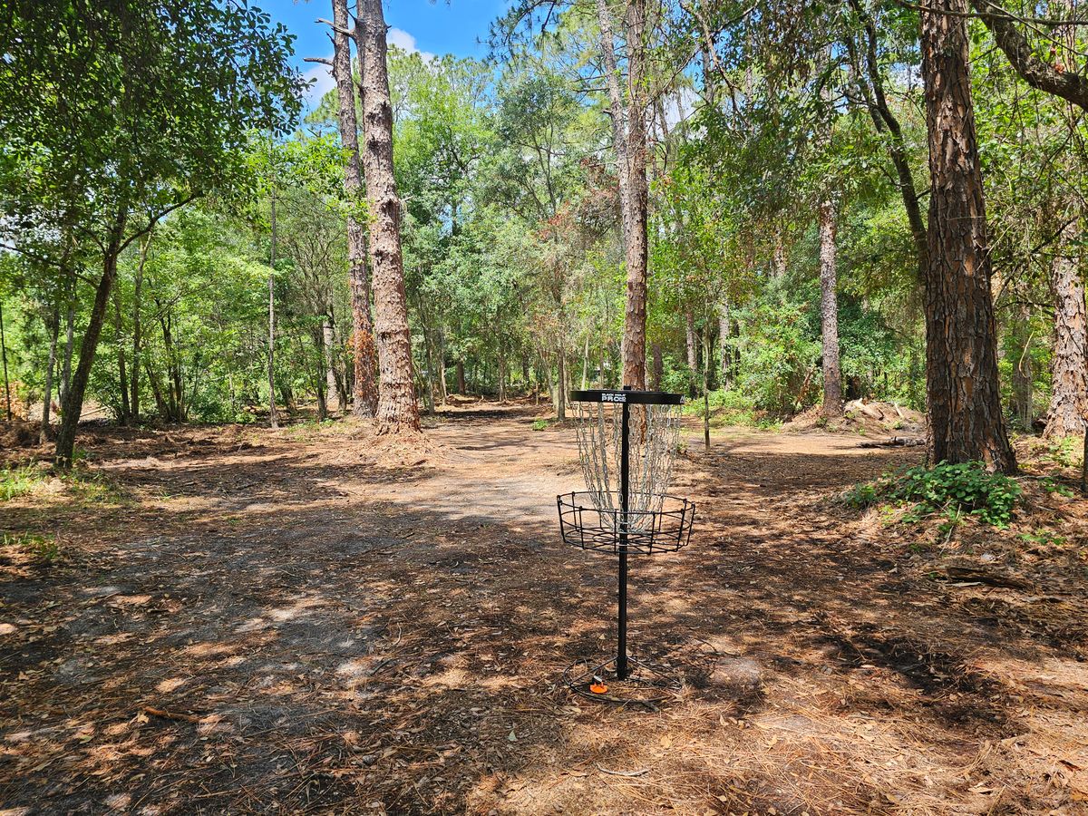 Bee's Resort disc golf (The Hive) - Clermont, Florida | UDisc Disc Golf ...