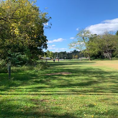 Camp Olympic Park - Emmaus, PA | UDisc Disc Golf Course Directory