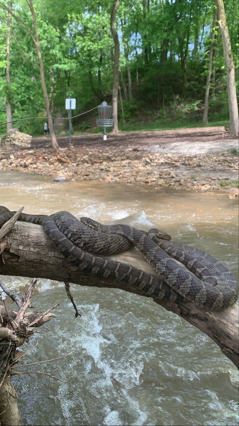 The Canyons at Dellwood Park - Lockport, IL | UDisc Disc Golf Course ...