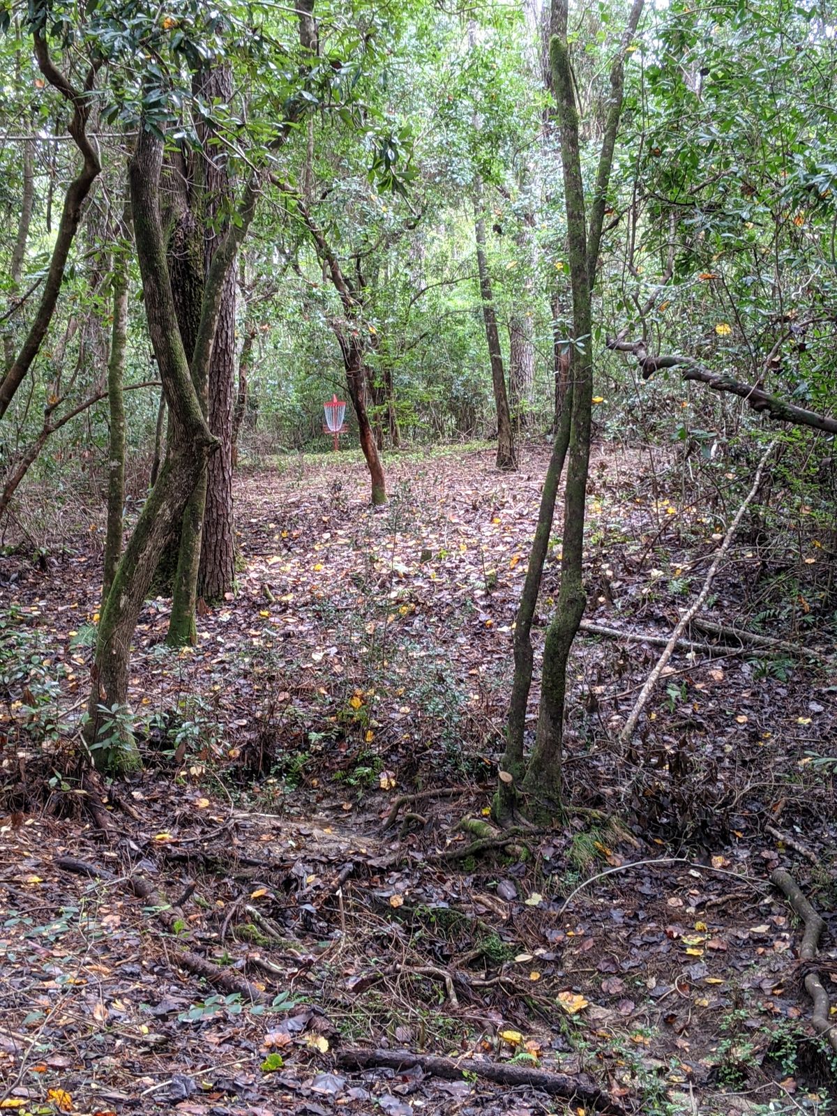Asgard Acres DGC - DeFuniak Springs, Florida | UDisc Disc Golf Course ...
