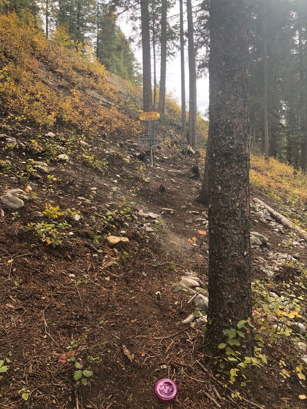Disc Golf Golden - Golden, BC, Canada | UDisc Disc Golf Course Directory