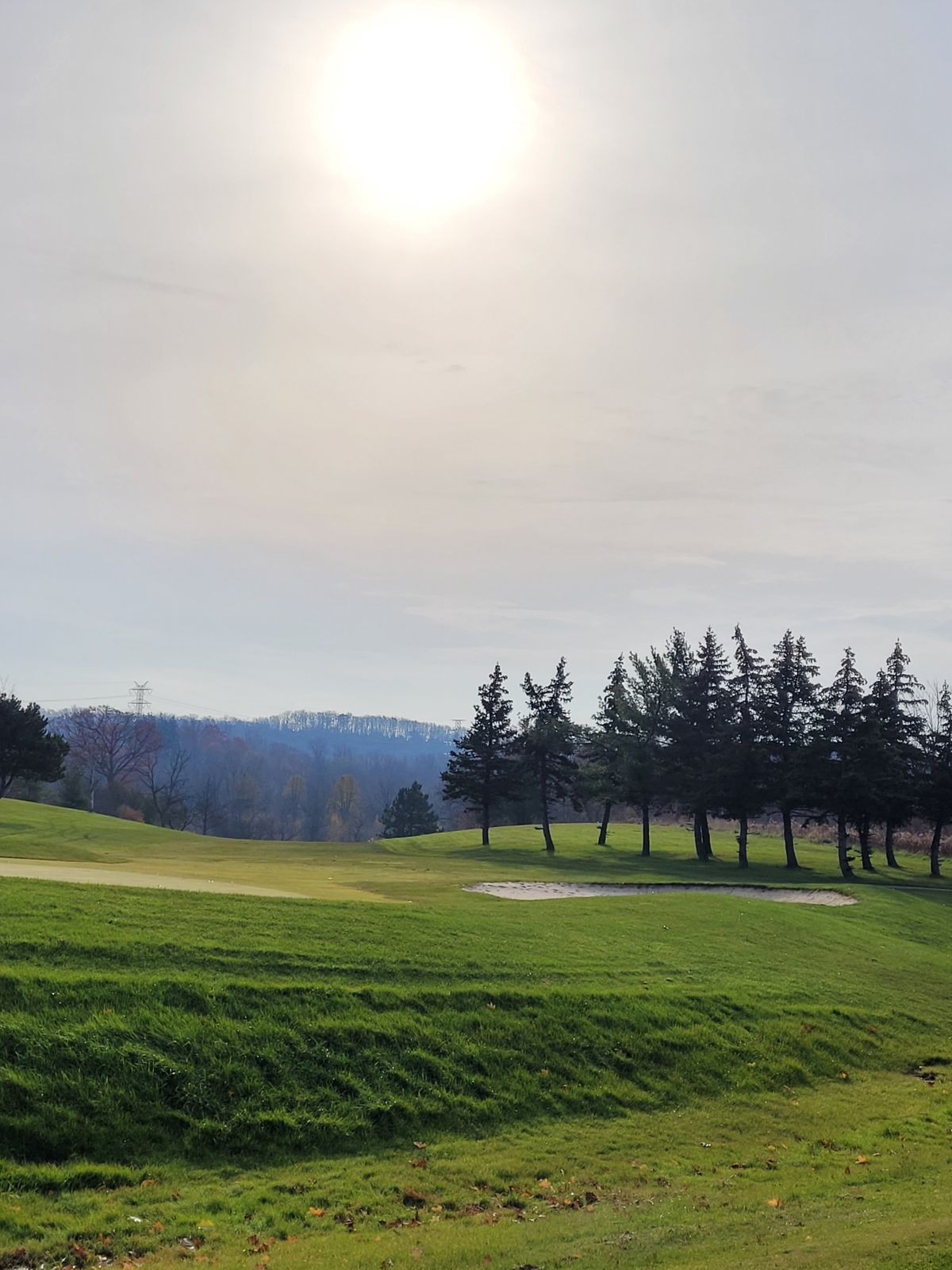 King's Forest DGC - Hamilton, ON, Canada | UDisc Disc Golf Course Directory