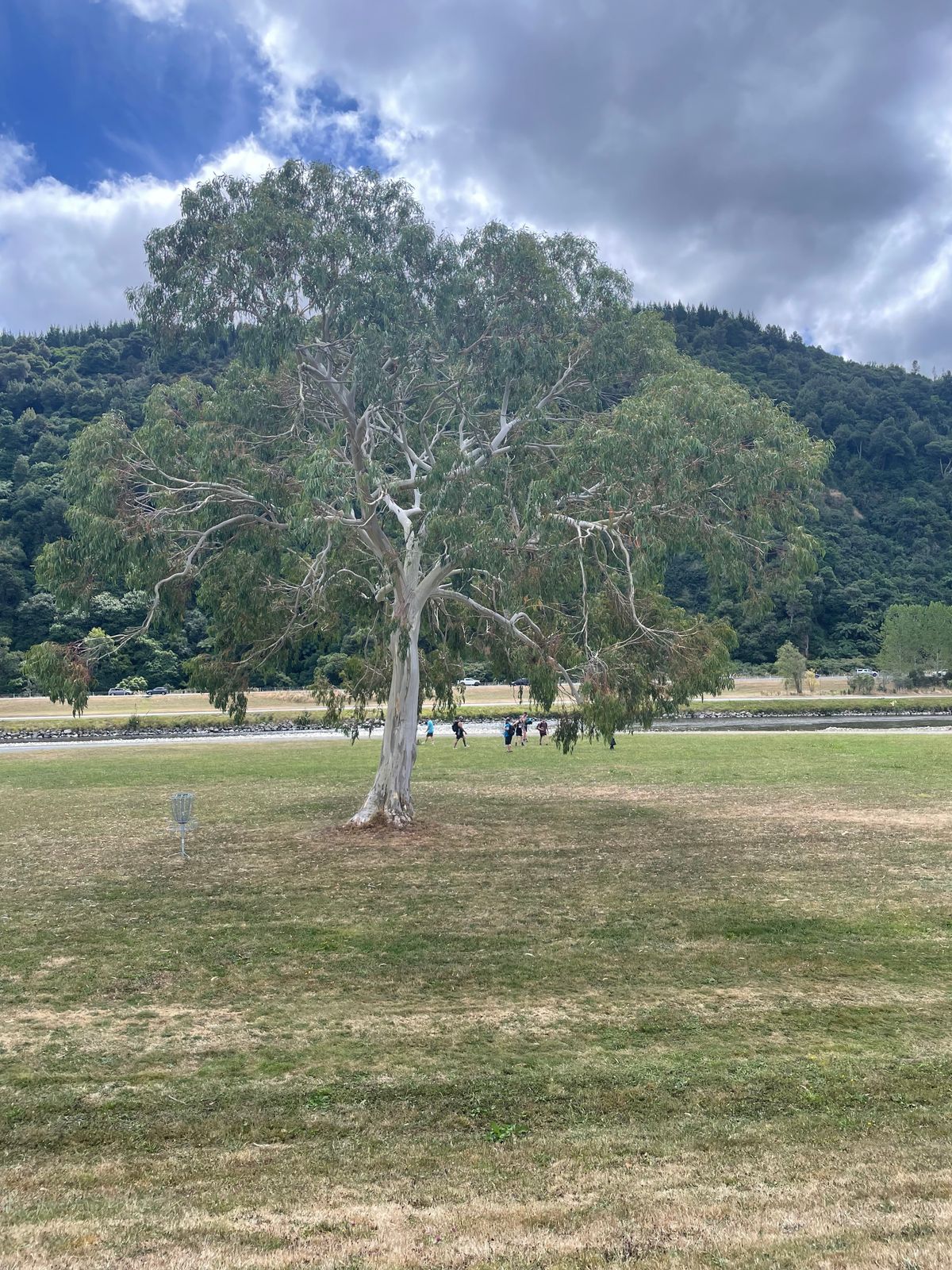 Moonshine Park - Upper Hutt, New Zealand | UDisc Disc Golf Course Directory
