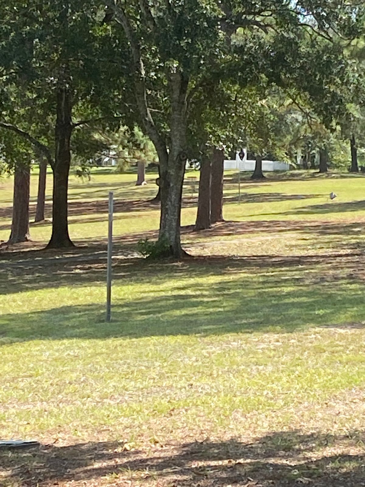 Lakeyard Launch Lake DeFuniak - DeFuniak Springs, Florida | UDisc Disc ...