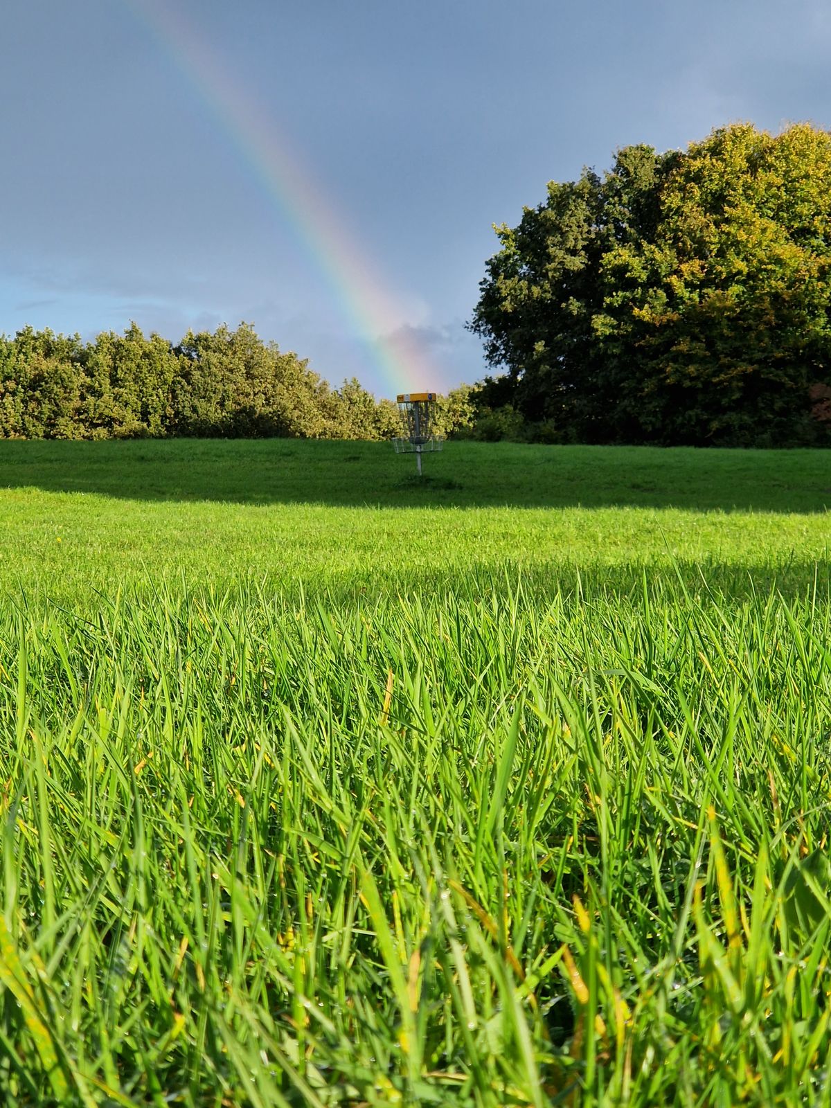 Enger Disc Golf - Your Guide to Disc Golf in Enger, Germany | UDisc