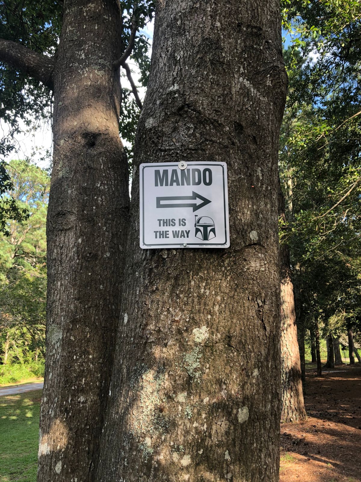 Ace Run @ North End Park - Manteo, North Carolina | UDisc Disc Golf ...