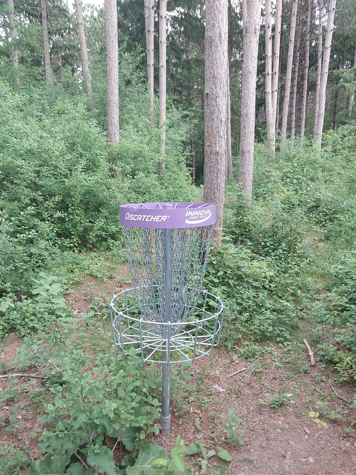Bulldog Disc Golf Course - Chetek, Wisconsin | UDisc Disc Golf Course ...