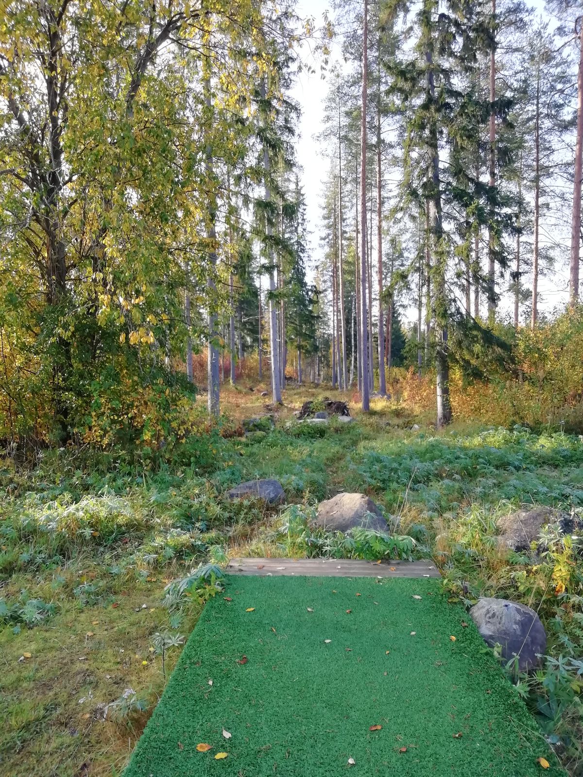 Sorsakoski DiscgolfPark - Finland | UDisc Disc Golf Course Directory