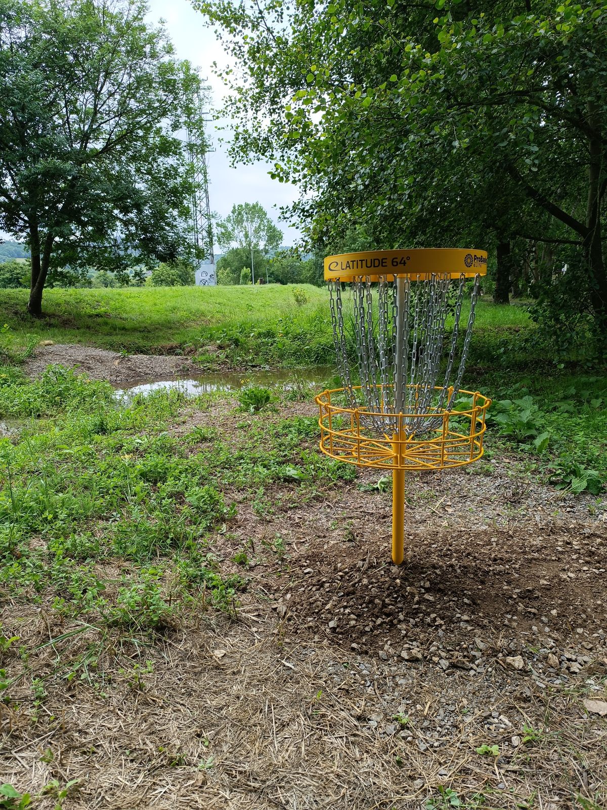 Grado Disc Golf - Your Guide to Disc Golf in Grado, Spain | UDisc