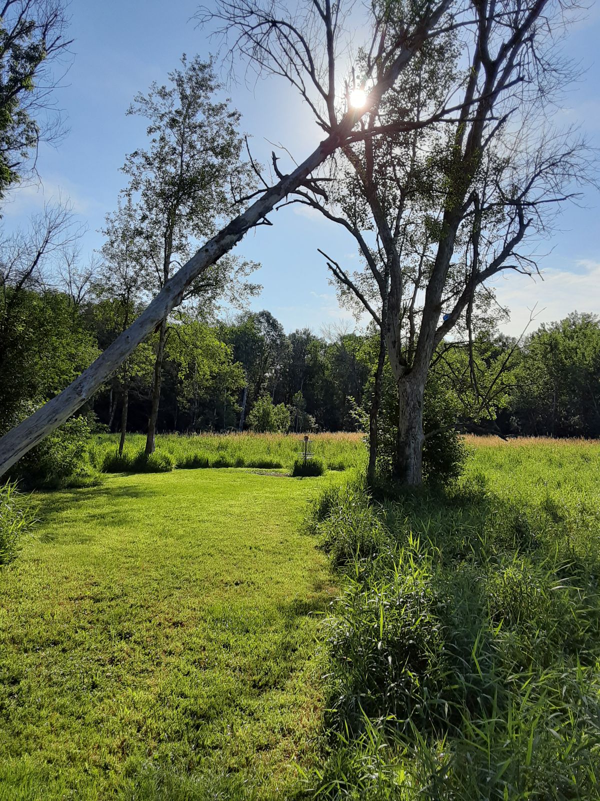 Ham Lake - Ham Lake, MN | UDisc Disc Golf Course Directory | UDisc