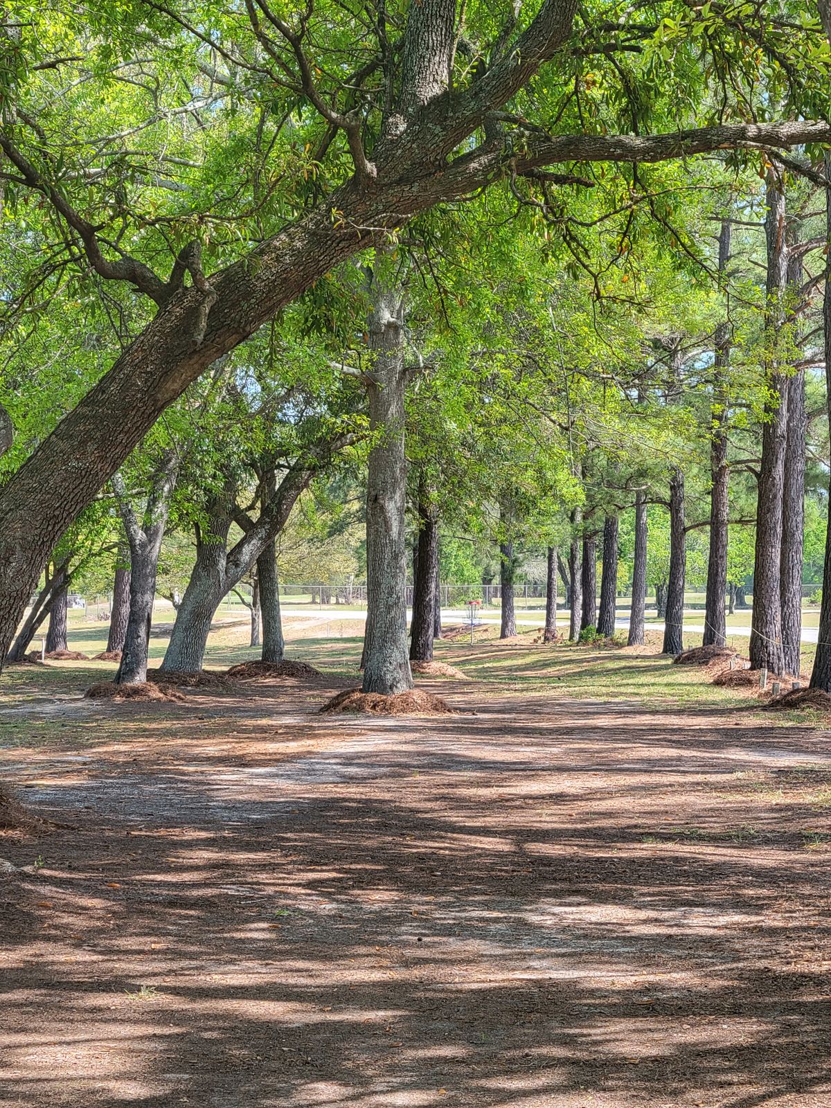 Dillon Park DGC - Sumter, South Carolina | UDisc Disc Golf Course Directory