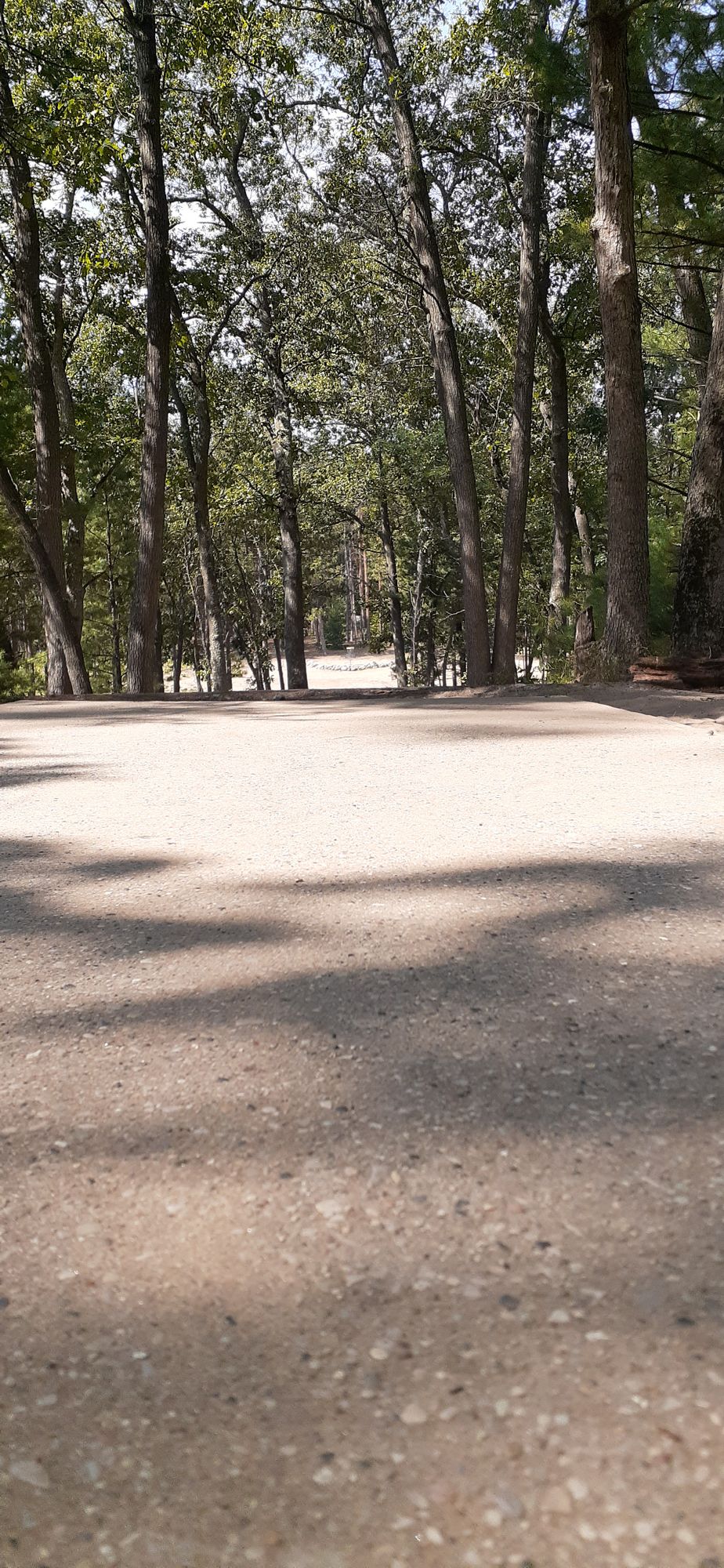 Whitehall DGC - Whitehall, MI | UDisc Disc Golf Course Directory | UDisc