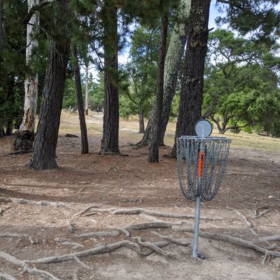 DeLaveaga Disc Golf Course - Santa Cruz, CA | UDisc Disc Golf Course ...