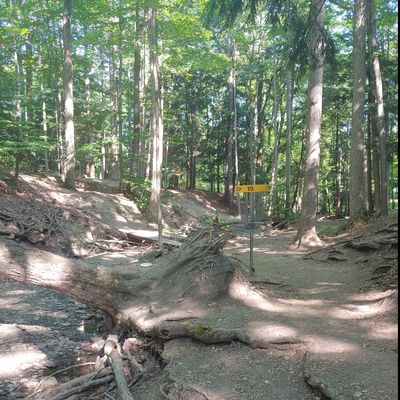 The Ravine at Chestnut Ridge - Orchard Park, NY | UDisc Disc Golf ...