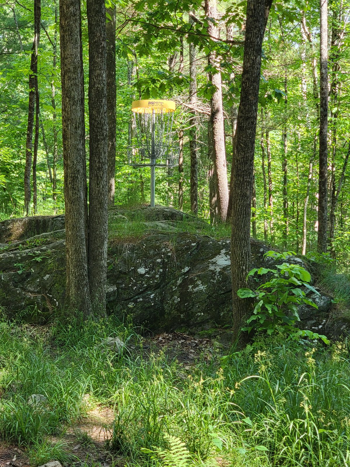 Devil's Grove Disc Golf-Demon - Lewiston, Maine | UDisc Disc Golf ...