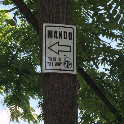 Camp Olympic Park - Emmaus, PA | UDisc Disc Golf Course Directory