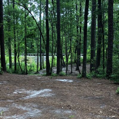 Castle Hayne Park - Castle Hayne, NC | UDisc Disc Golf Course Directory