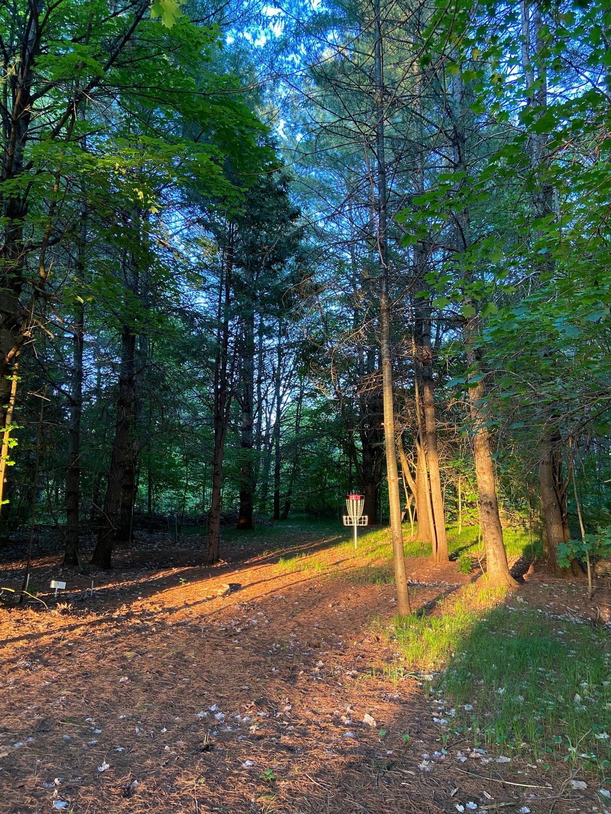 Project2 (Private Course) - Harcourt, ON, Canada | UDisc Disc Golf Course Directory