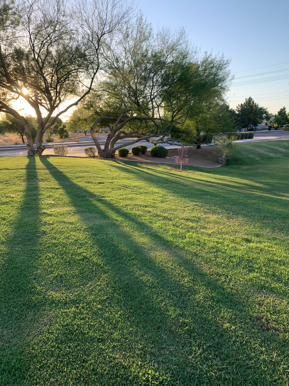 Gilbert Disc Golf - Your Guide to Disc Golf in Gilbert, Arizona | UDisc