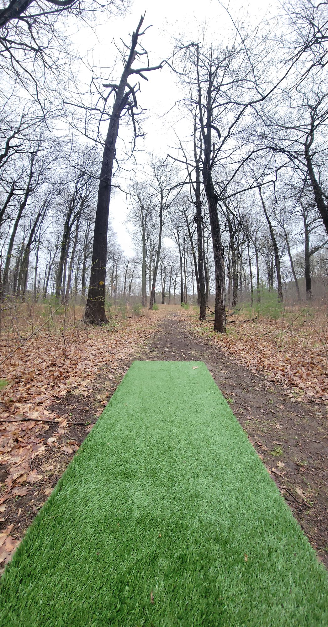 Midland - Little Lake - Midland, ON, Canada | UDisc Disc Golf Course ...