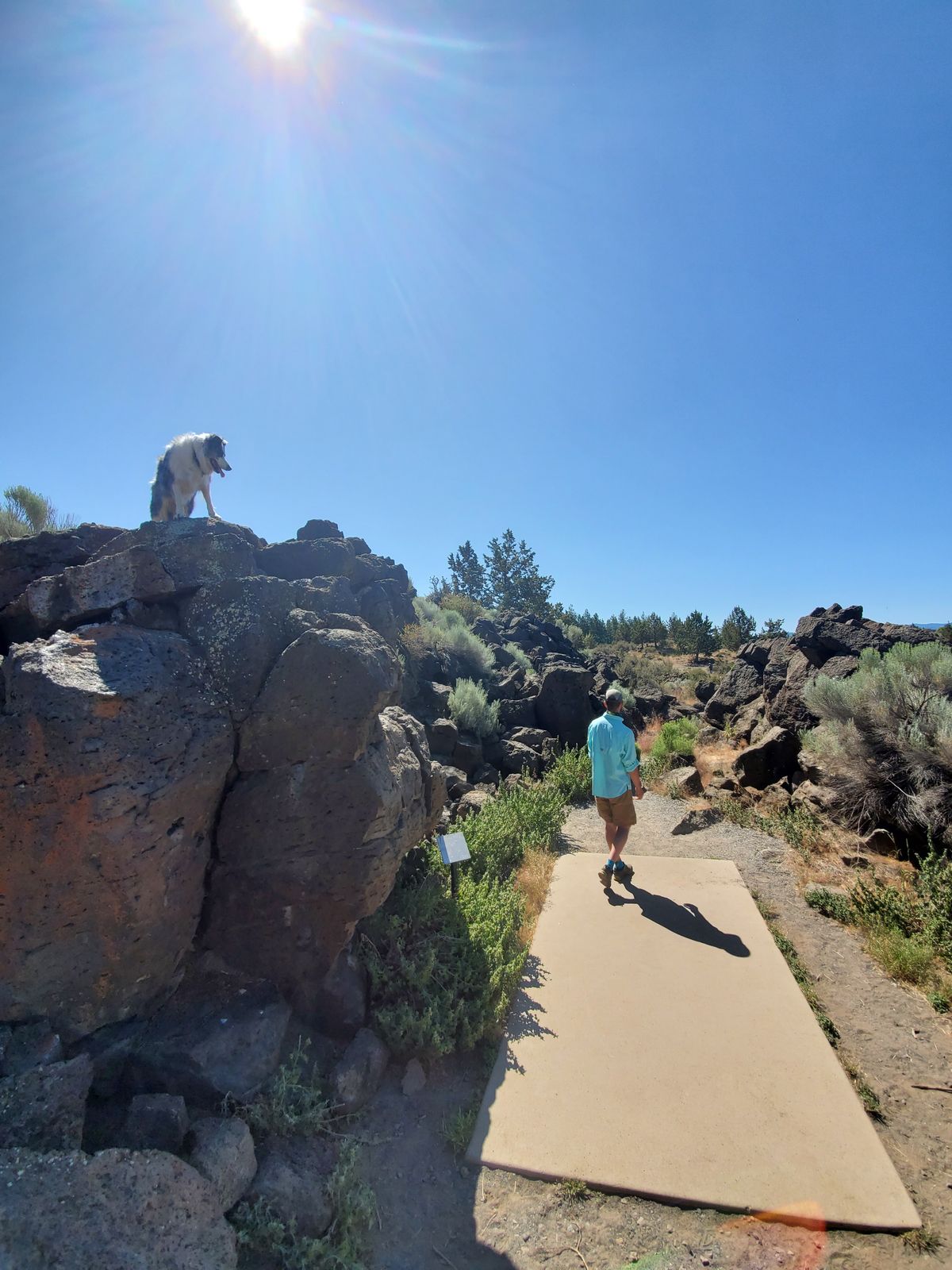 Bend Disc Golf - Your Guide to Disc Golf in Bend, Oregon | UDisc