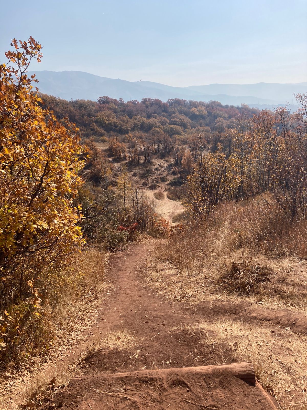 Hillside at CMC - Steamboat Springs, CO | UDisc Disc Golf Course Directory