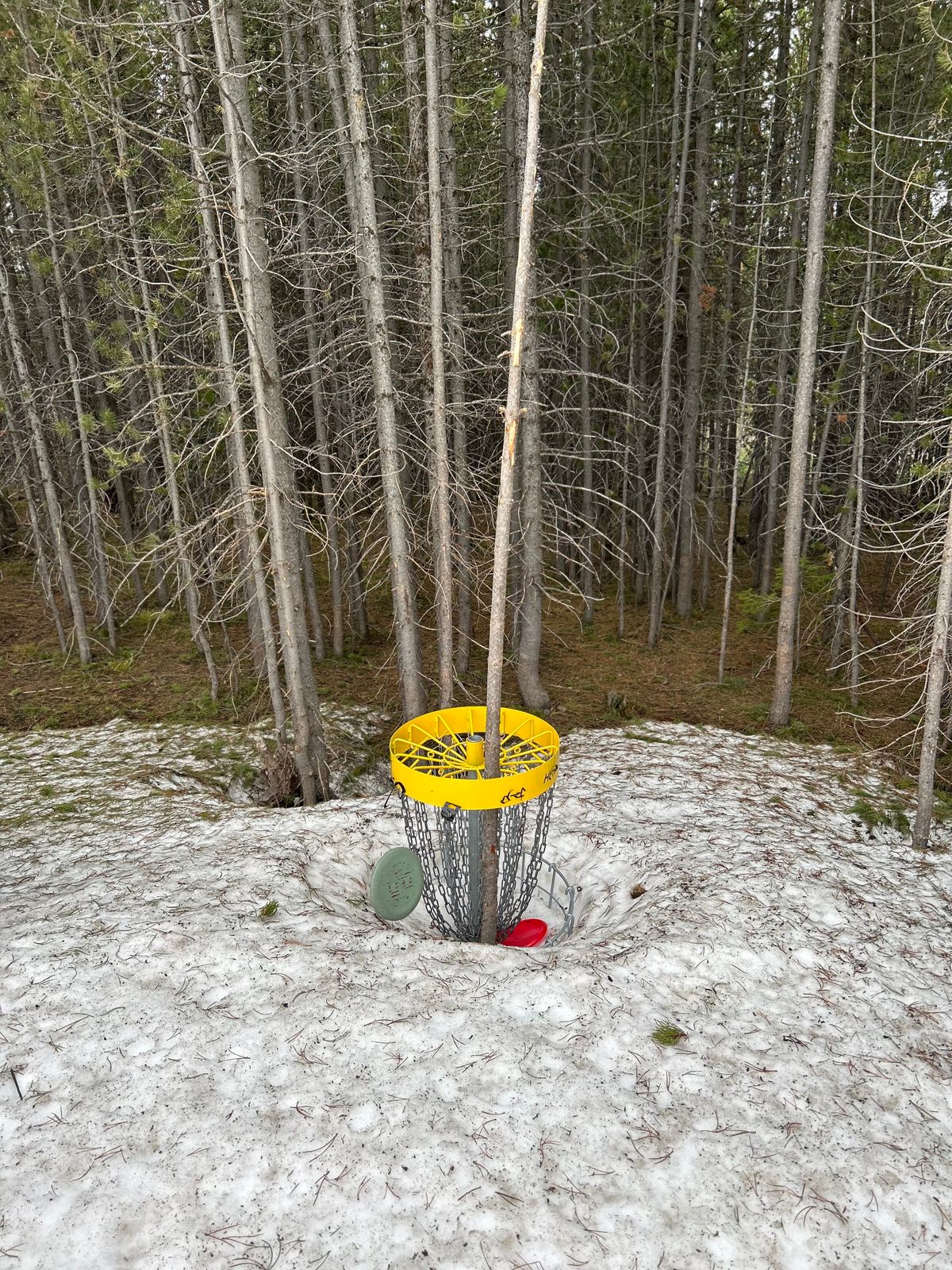Derby’s Disc Golf @ Timbers Island Park - Island Park, ID | UDisc Disc ...