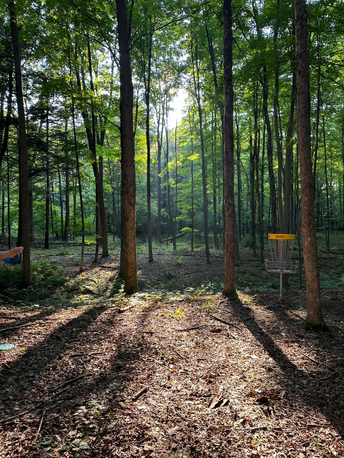 Greenville Disc Golf Course - Greenville, New York | UDisc Disc Golf ...