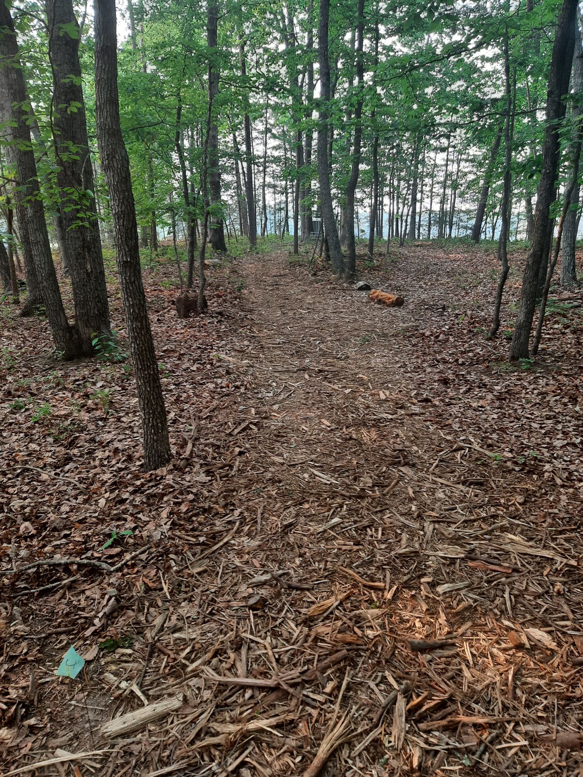Forest Valley - Family Course - Triangle, Virginia | UDisc Disc Golf ...